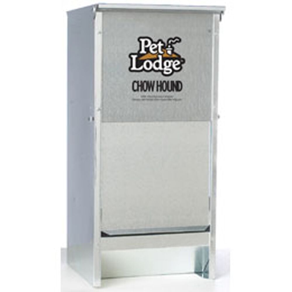 Automatic Pet Feeder- Galvanized, 12 lb | Atwoods