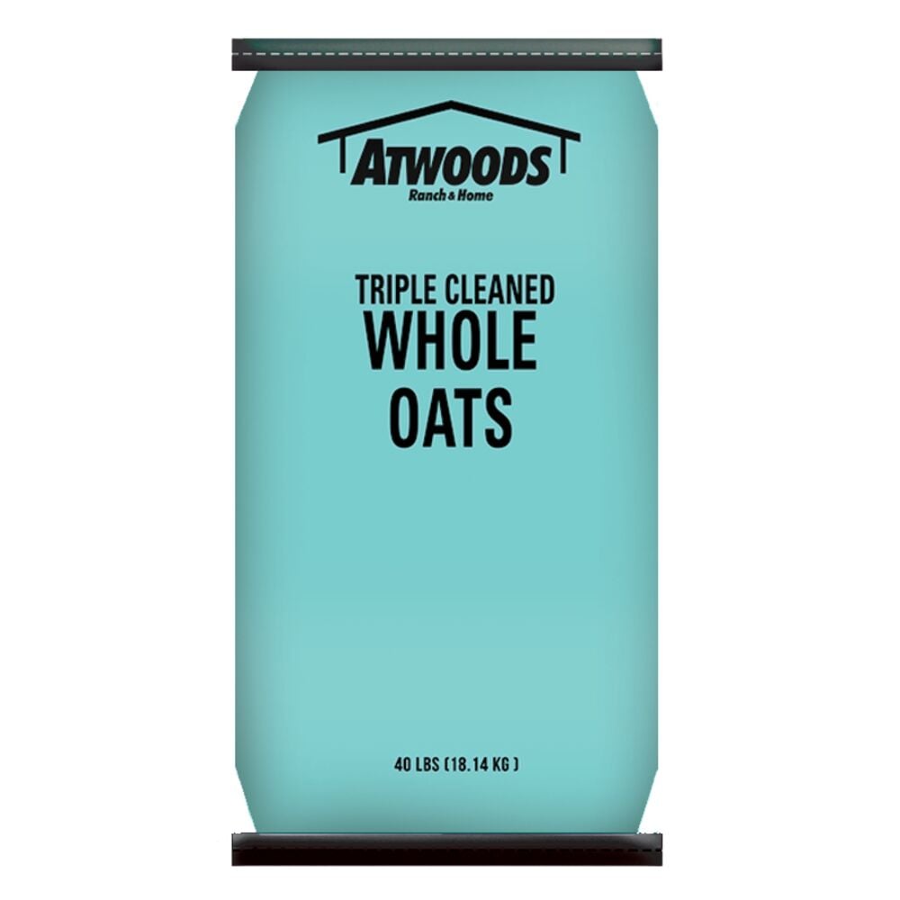 Triple Cleaned Whole Oats, 40 lbs | Atwoods