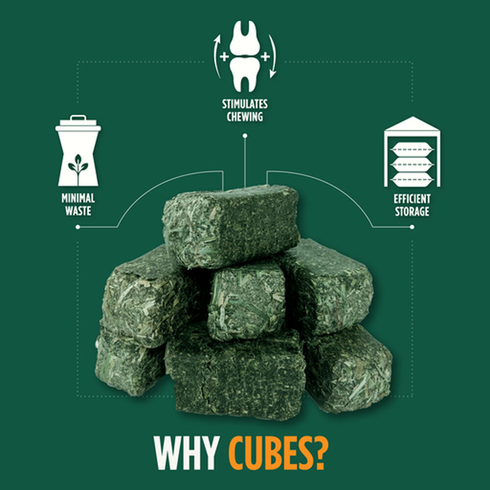 Premium Alfalfa Cubes, 40 lb | Atwoods