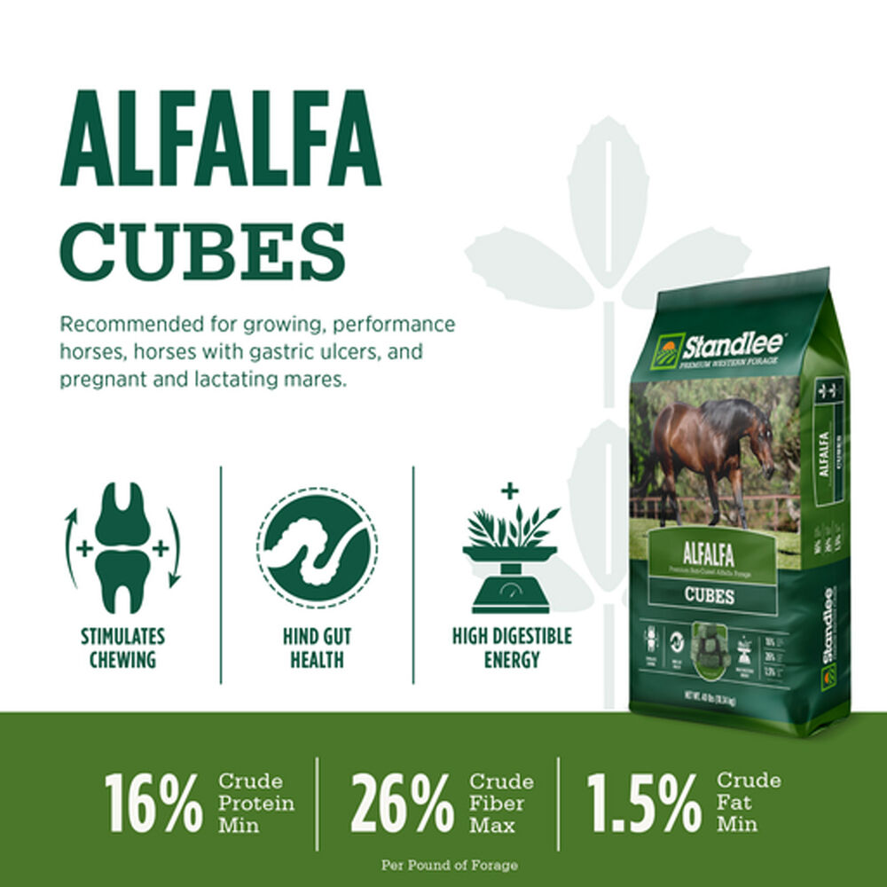 Premium Alfalfa Cubes, 40 lb | Atwoods