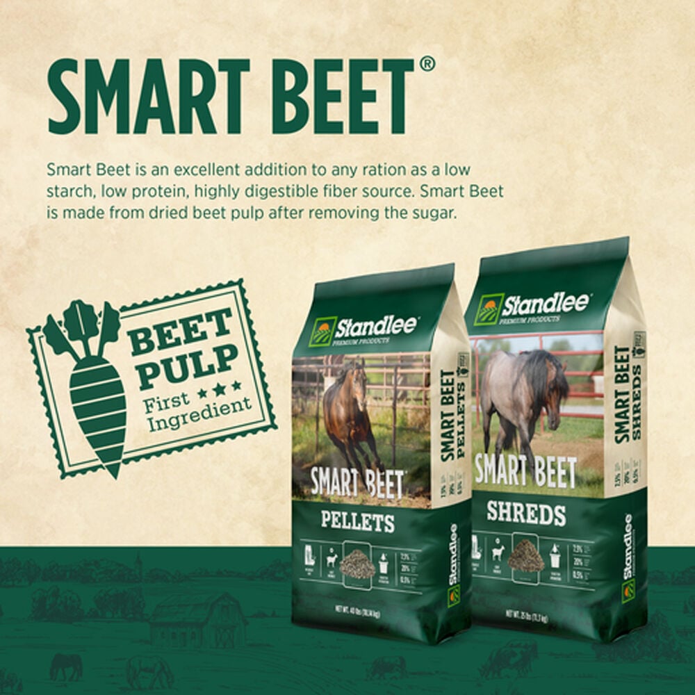 Premium Beet Pulp Shreds, 25 lb | Atwoods