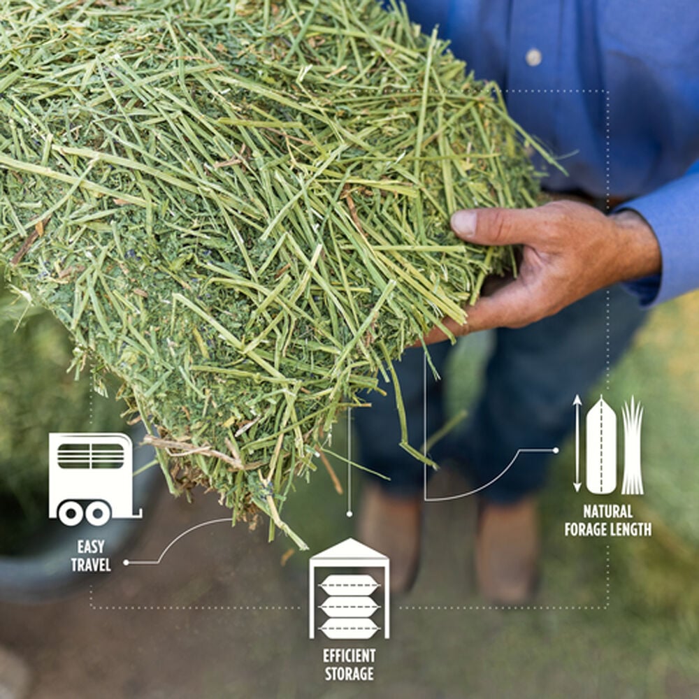 Premium Timothy Grass Grab & Go Compressed Bale | Atwoods