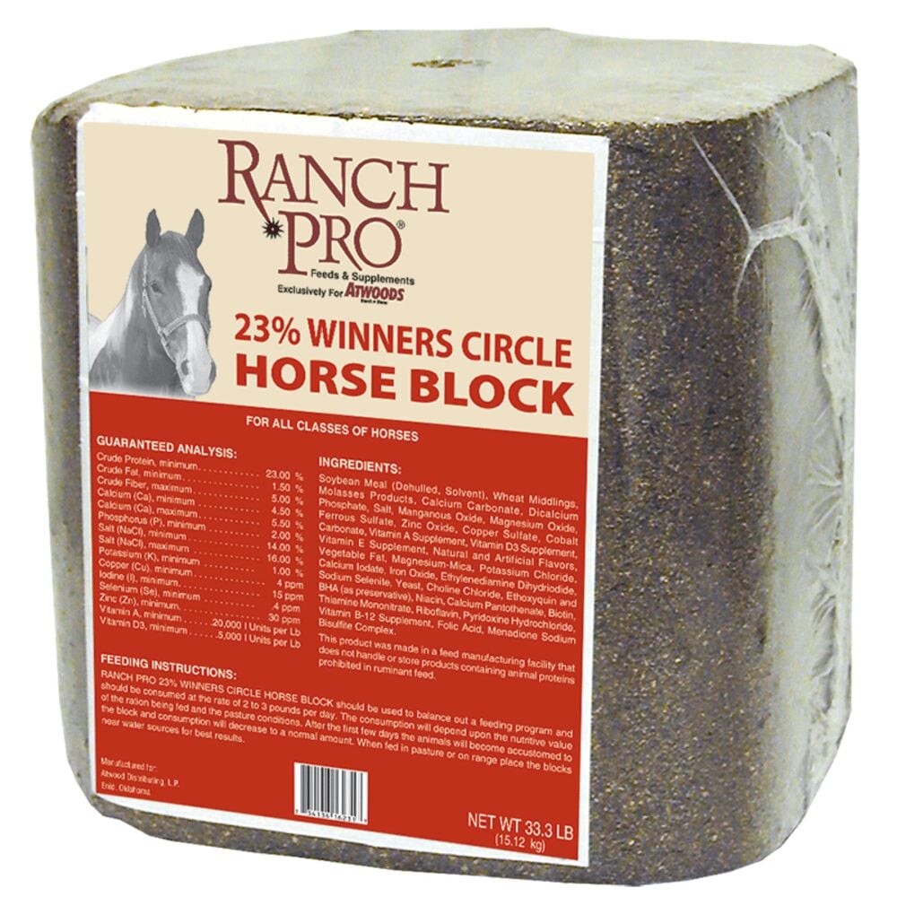 Winners Circle 23% Horse Block | Atwoods