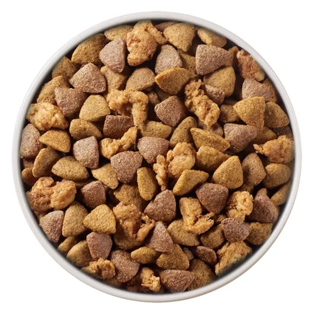 Purina One Dry Dog Food- Chicken and Rice, 31.1 lb | Atwoods