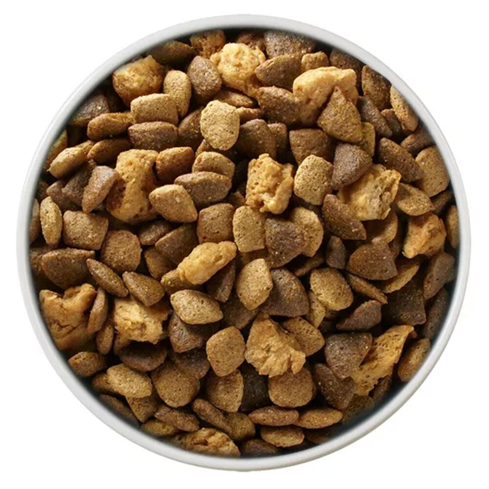 Purina One Dry Puppy Food- Large Breed, Chicken, 31.1 lb | Atwoods