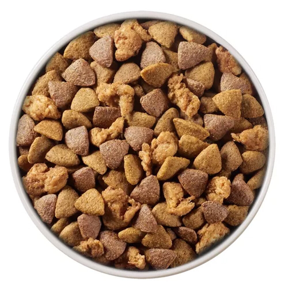 Purina One Dry Dog Food- Chicken and Rice, 40 lb | Atwoods