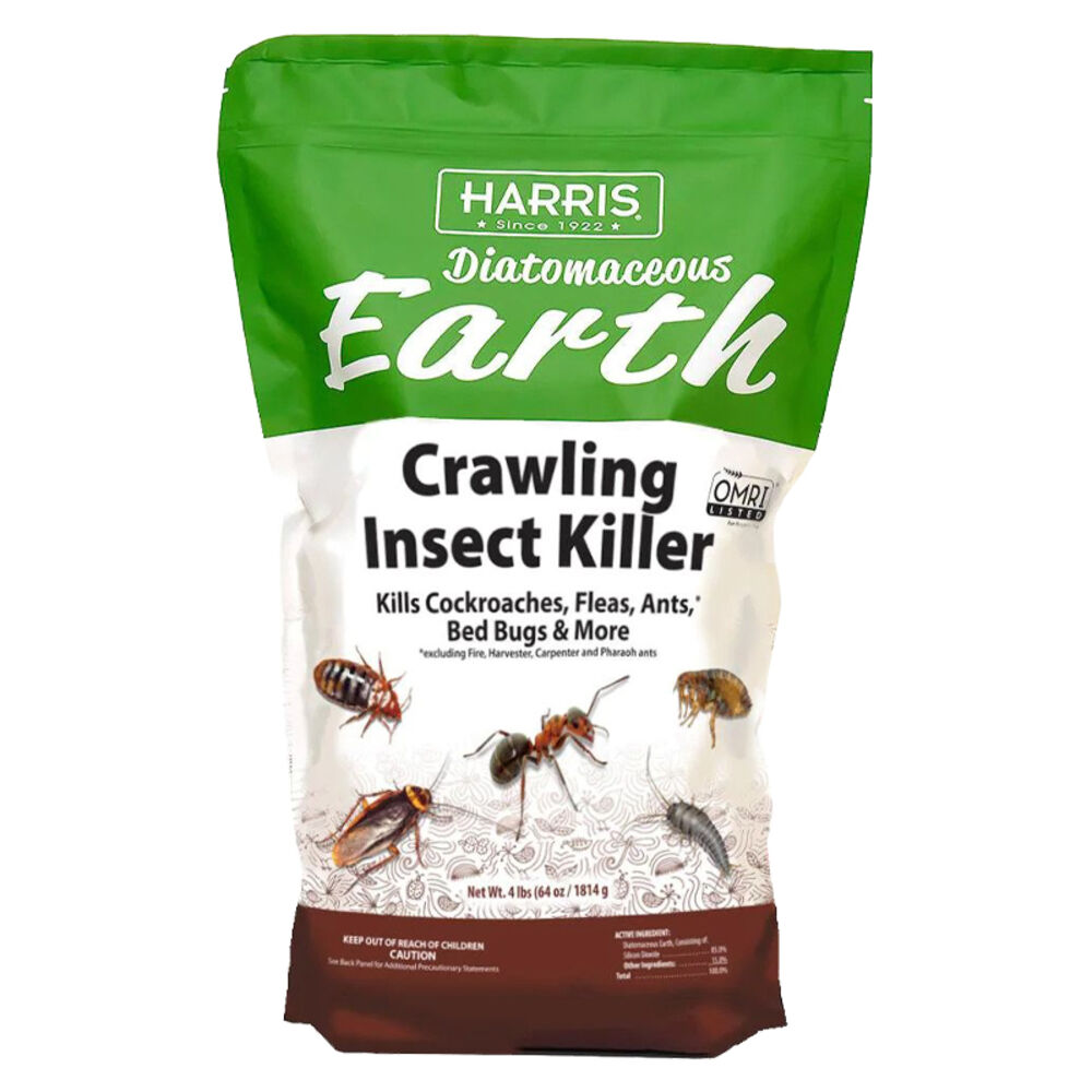 Diatomaceous Earth Crawling Insect Killer, 4 lbs. | Atwoods