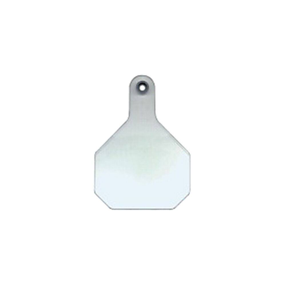 Blank 2 Piece Tag, Large, White, 25 count | Atwoods