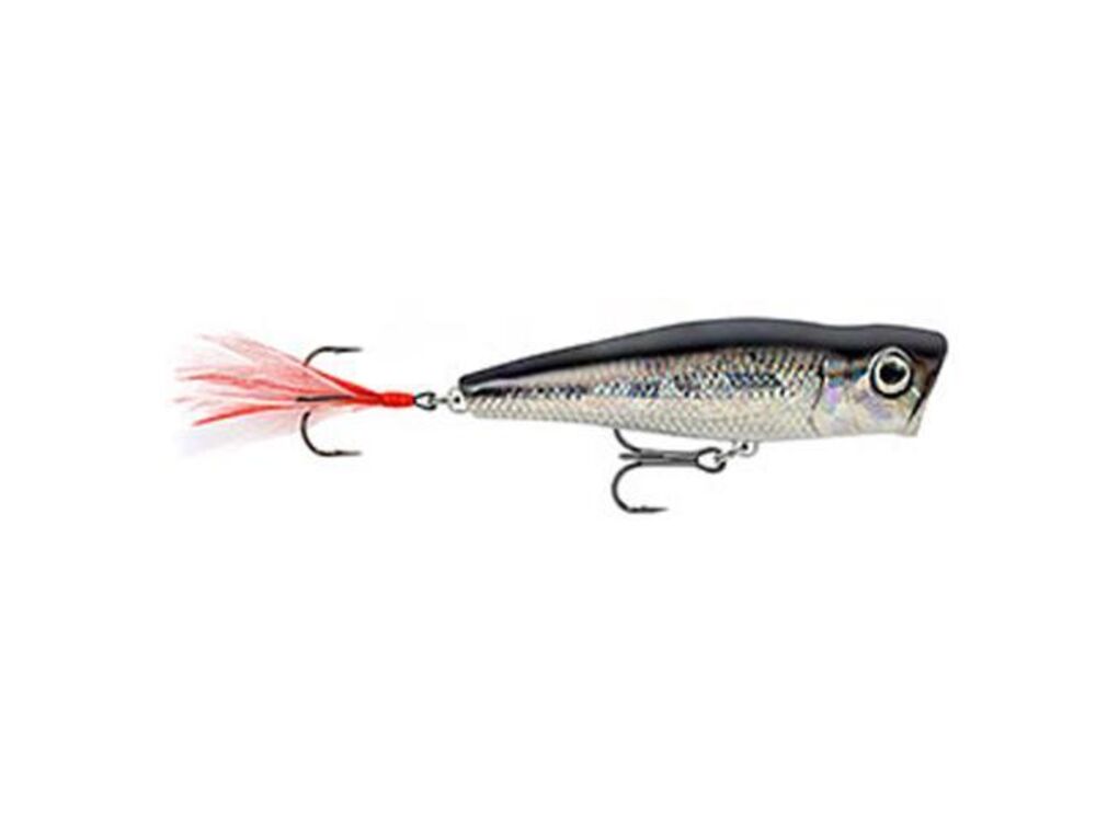 Nano Popper Lure, 2 in, Shiner | Atwoods
